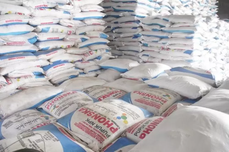 Harga Pupuk Phonska per Sak Terbaru (Varian Subsidi dan Varian Plus ...