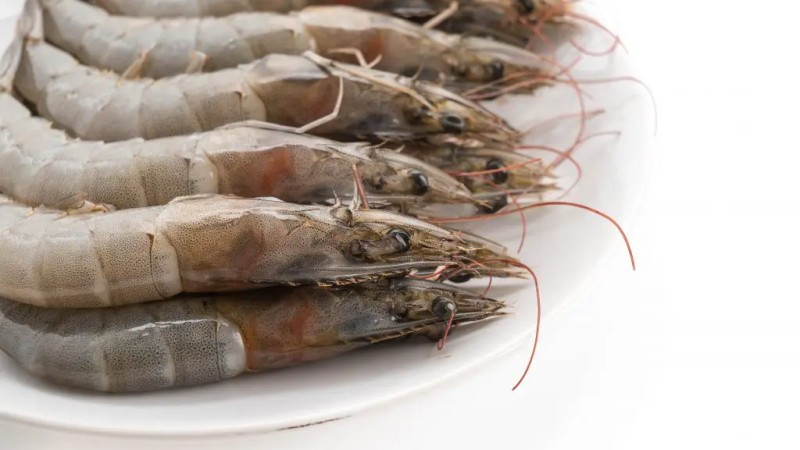 Update Harga Udang Windu (Pancet) per Kg | Harga.web.id