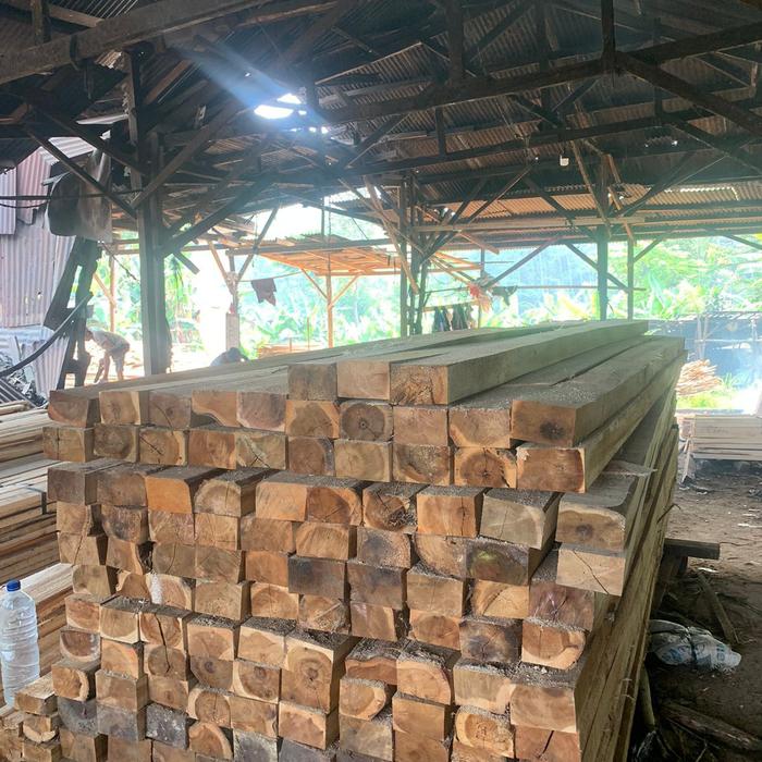 Info Harga Kayu Akasia Terkini (Berbagai Ukuran) 2026 | Harga.web.id