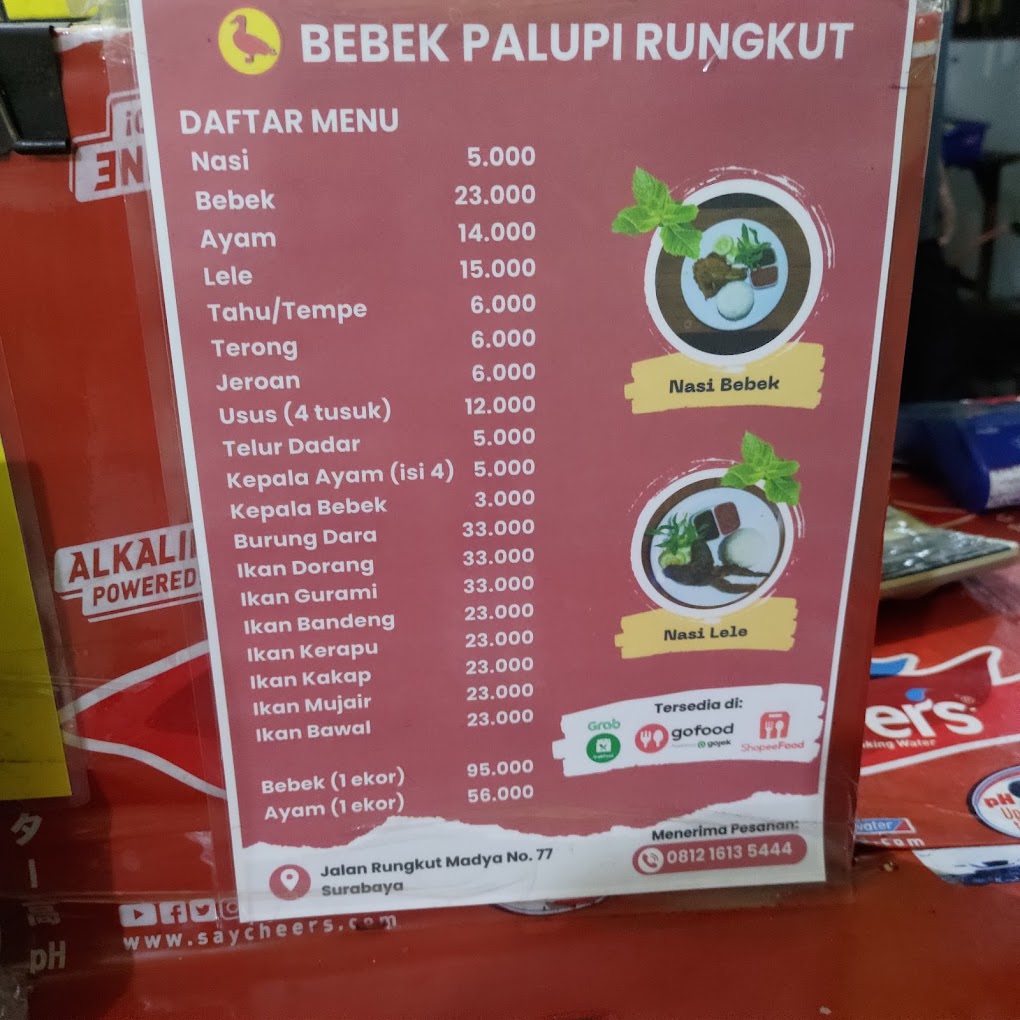 Info Harga Bebek Palupi (Paket Hemat dan Lengkap) | Harga.web.id