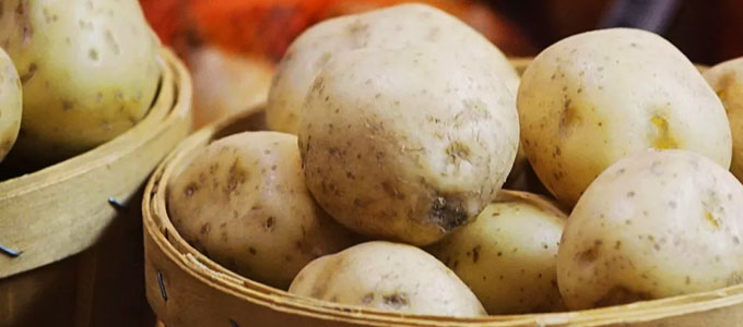 Info Terkini Harga Kentang Sekilo (1 Kg) | Harga.web.id